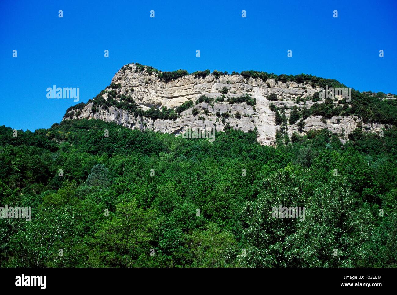 Pliocene mountain spur with woods below, Sardurano, Emilia Romagna ...