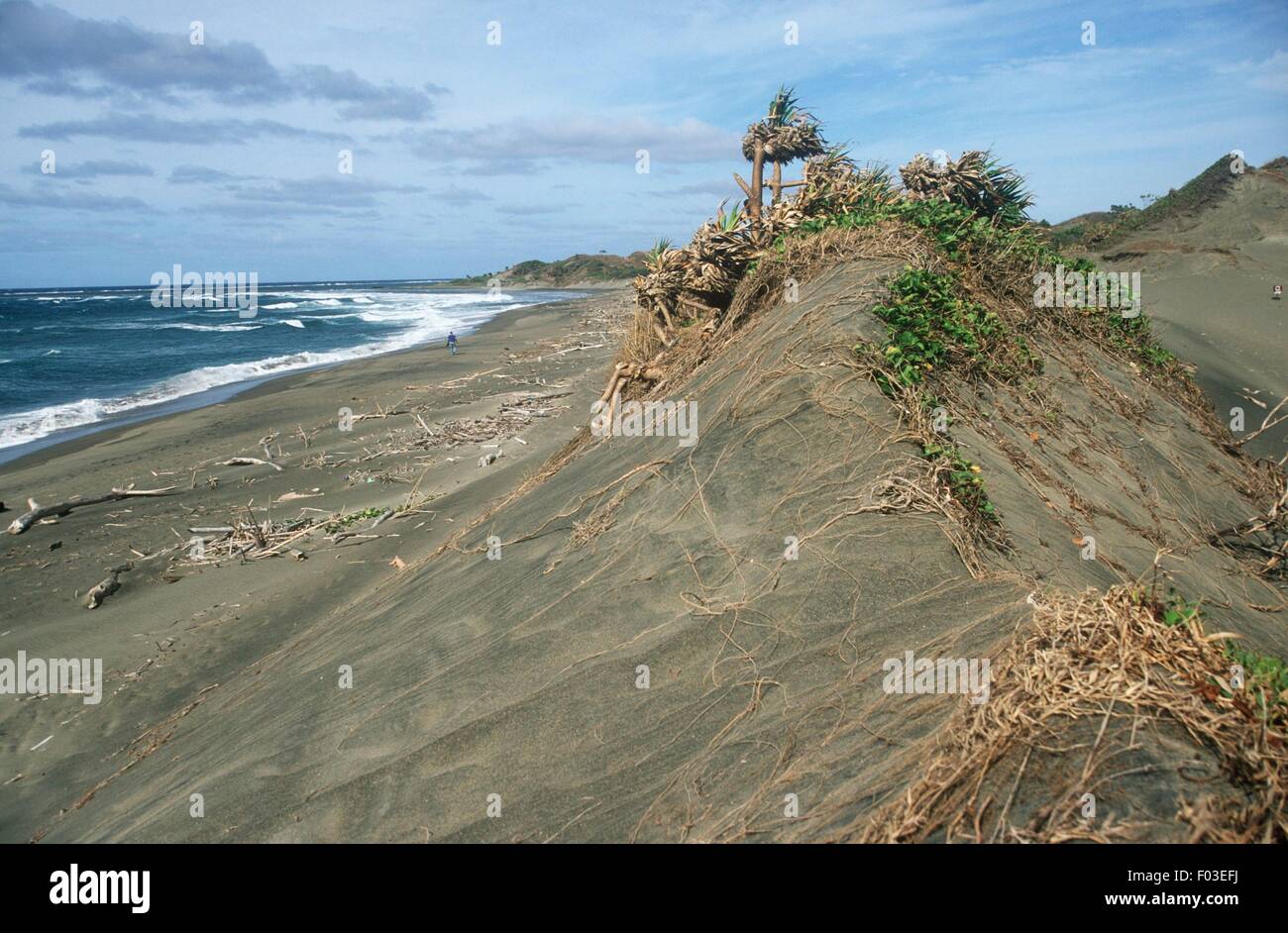 Fiji, Viti Levu Island, Sigatoka Sand Dunes National Park, sand dune ...