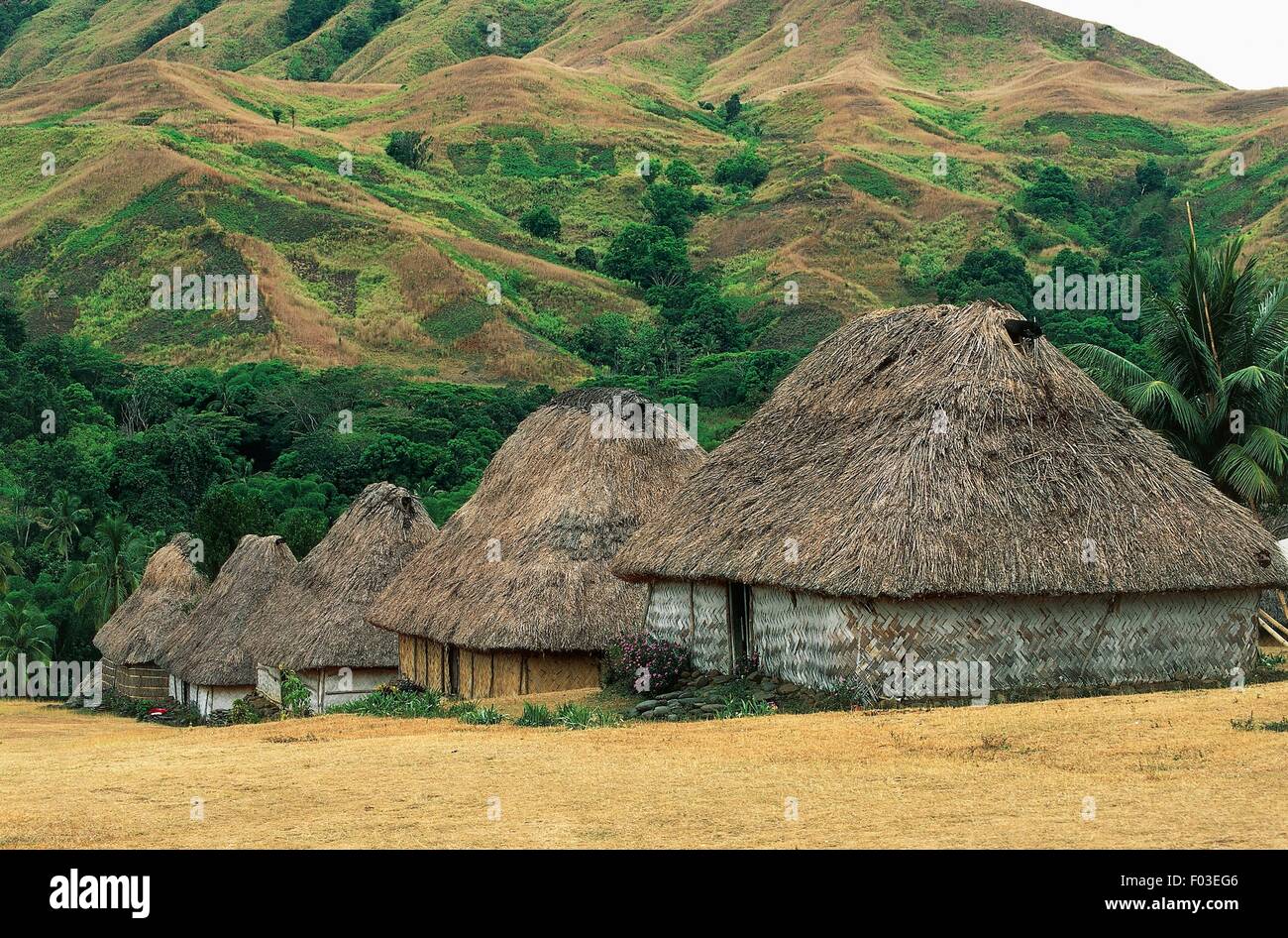 Traditional Fijian thatched huts (bures), Navala village, island of ...