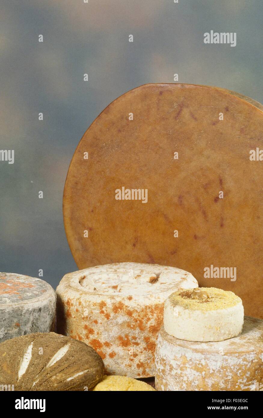 European aged cheeses Stock Photo - Alamy