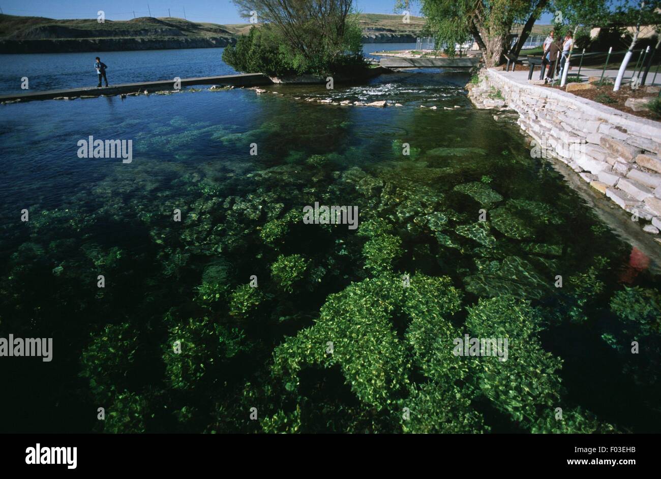 United States of America, Montana, Giant Springs Heritage State Park ...