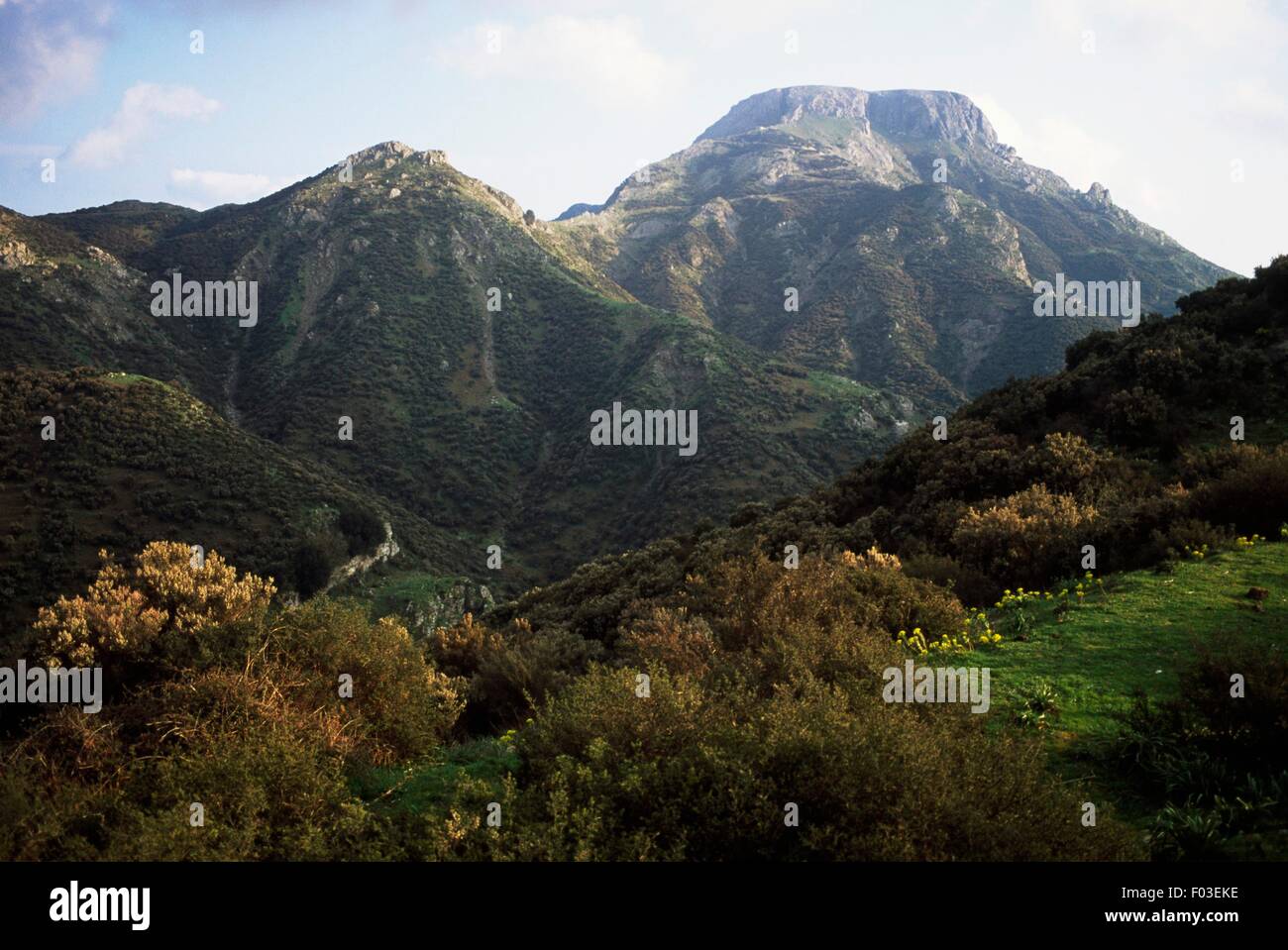 Scuderi hi-res stock photography and images - Alamy