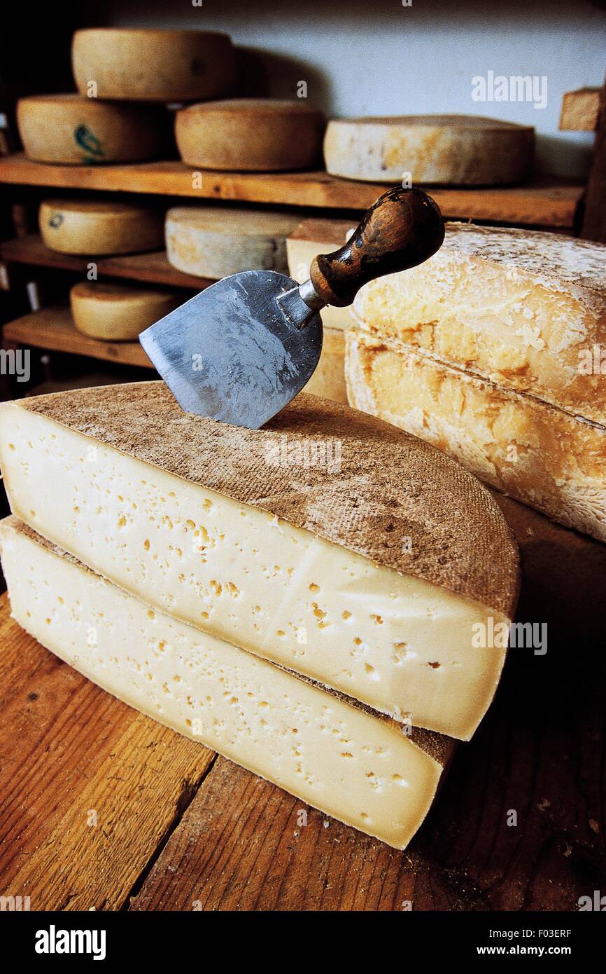Shaped Brenta Pinzolo cheese, Val Rendena, Trentino-Alto Adige, Italy ...