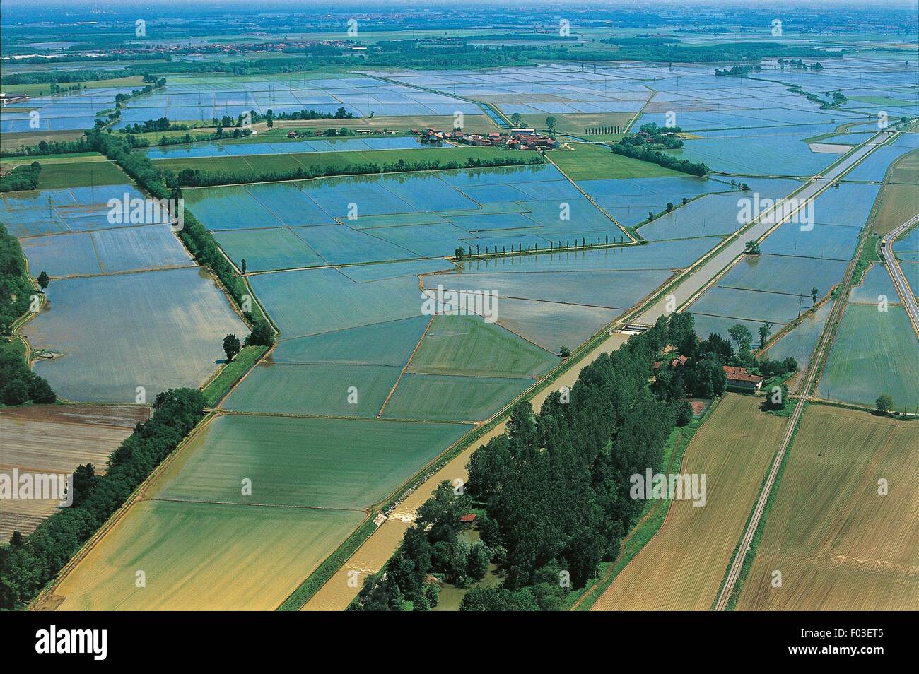 Aerial view of rice fields in the Province of Novara, Piedmont Region ...