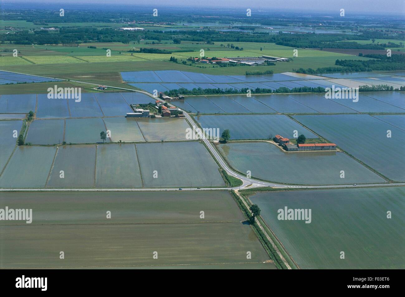 Aerial view of rice fields in the Province of Novara, Piedmont Region ...