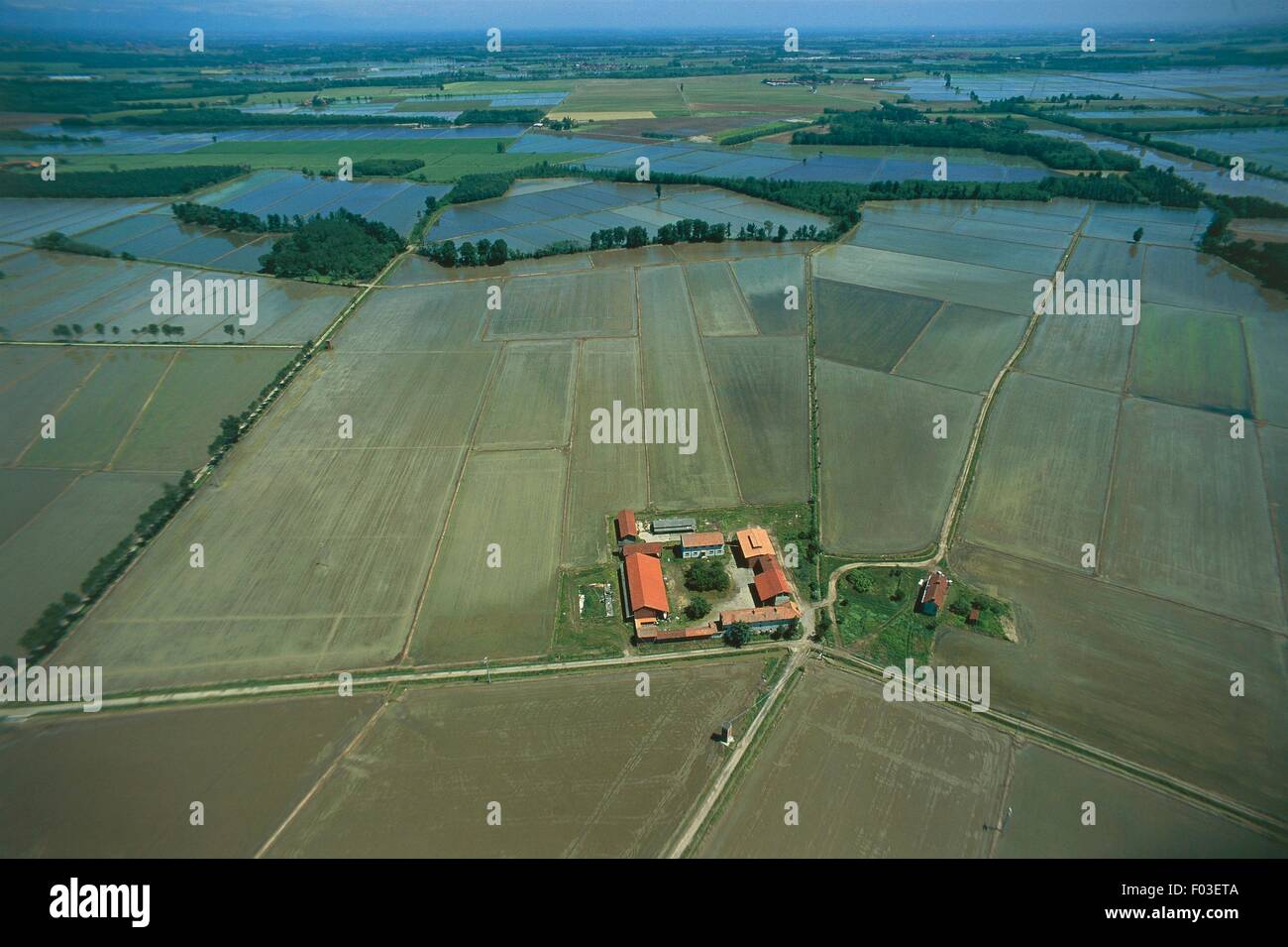 Aerial view of rice fields in the Province of Novara, Piedmont Region ...