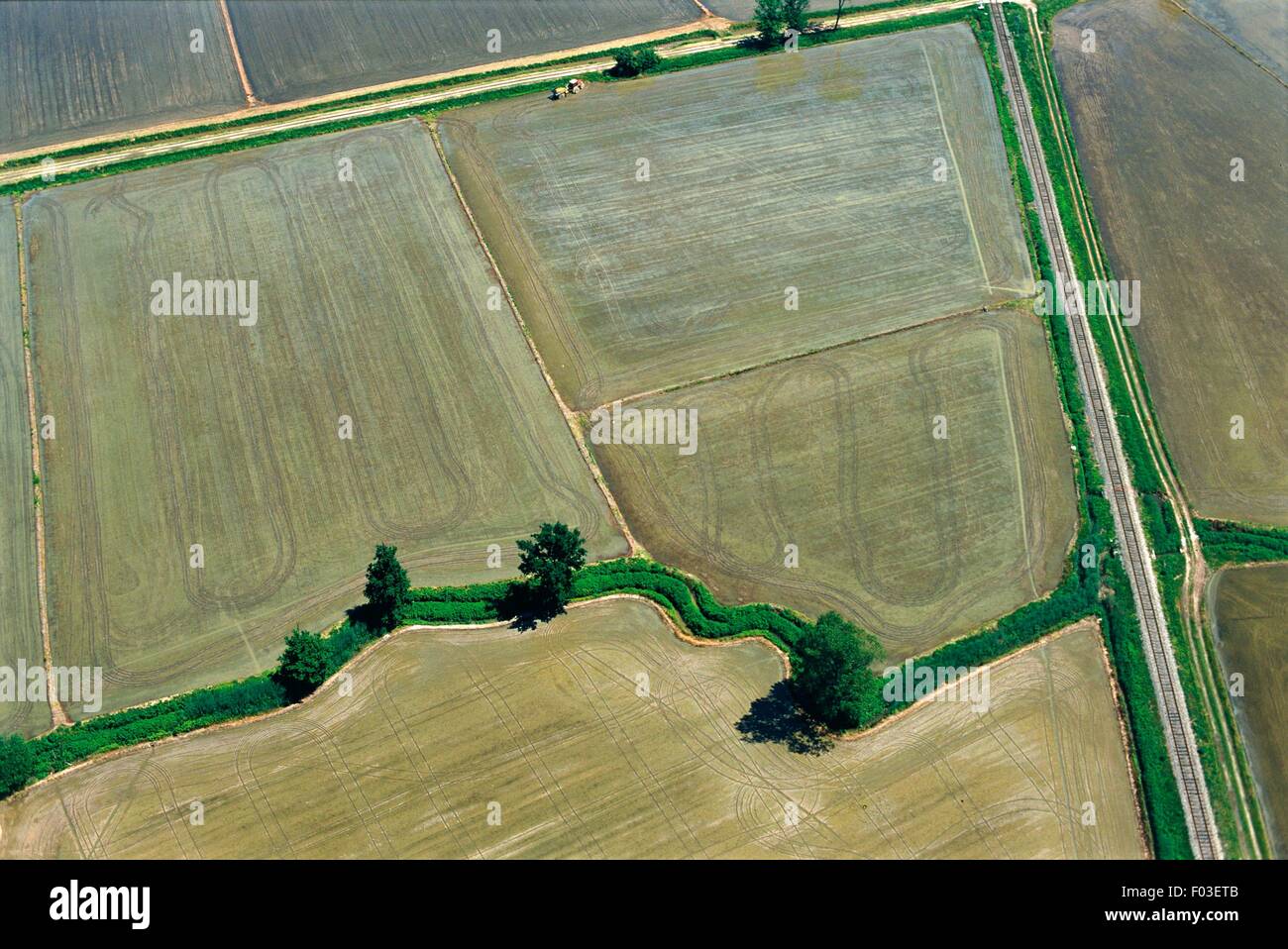 Aerial view of rice fields in the Province of Novara, Piedmont Region ...
