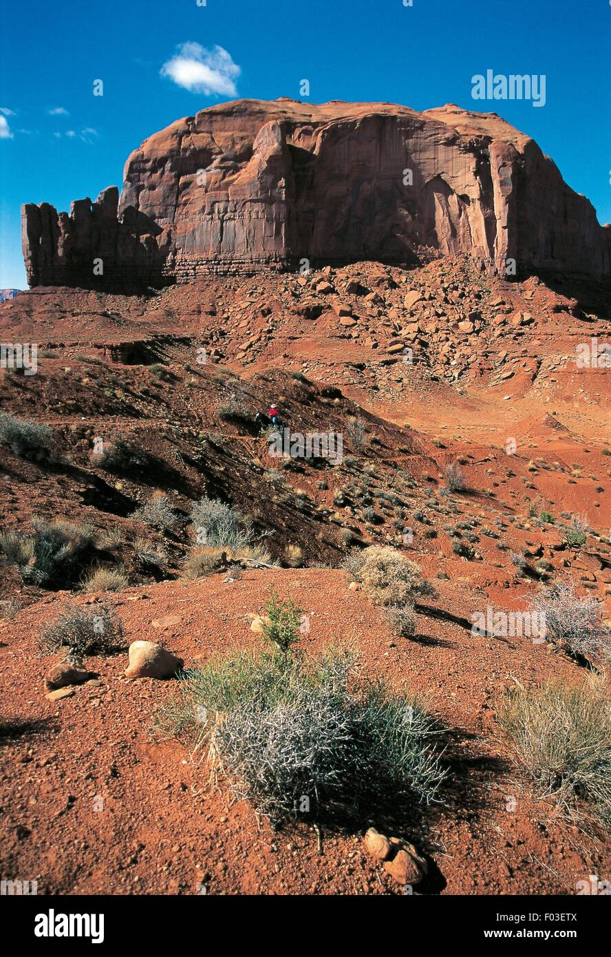 United States of America - Arizona, Utah - Monument Valley. Cly Butte ...