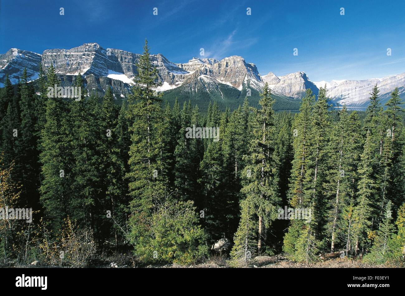 Canada, Alberta, Banff National Park (UNESCO World Heritage List, 1984 ...