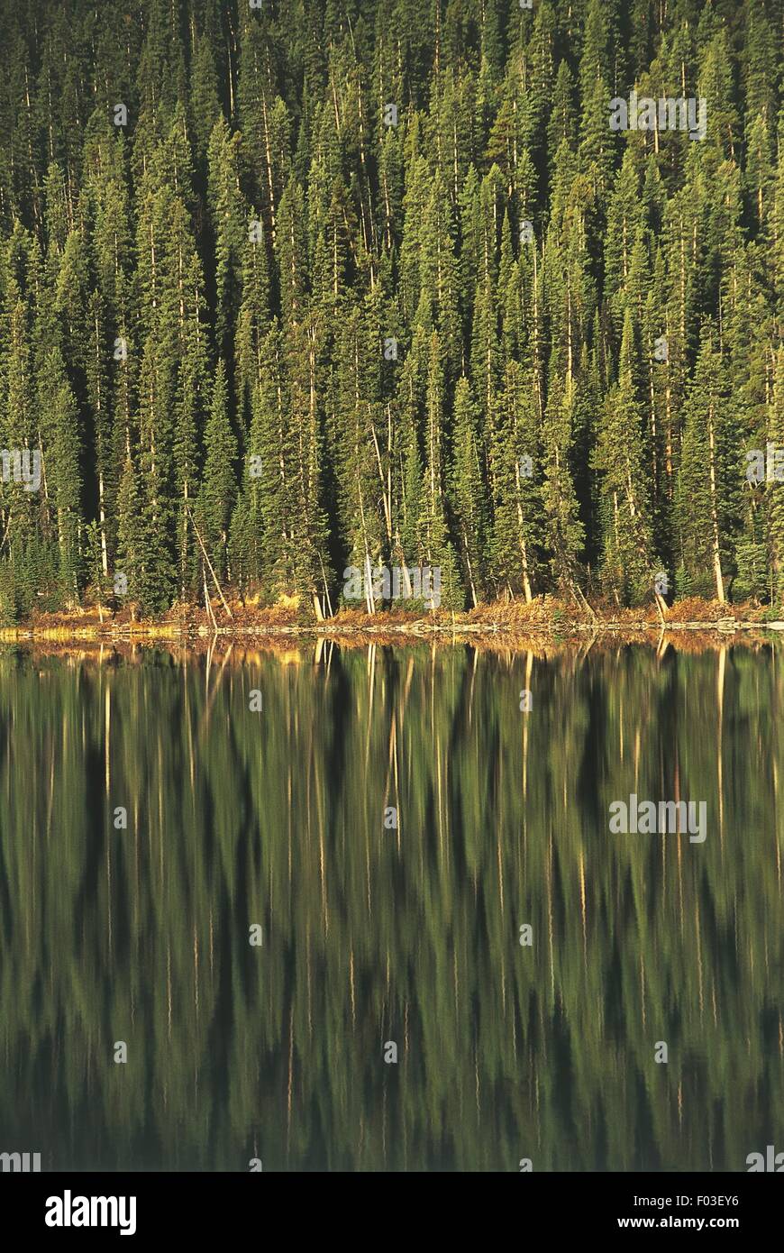 Canada, Alberta, Banff National Park (UNESCO World Heritage List, 1984 ...