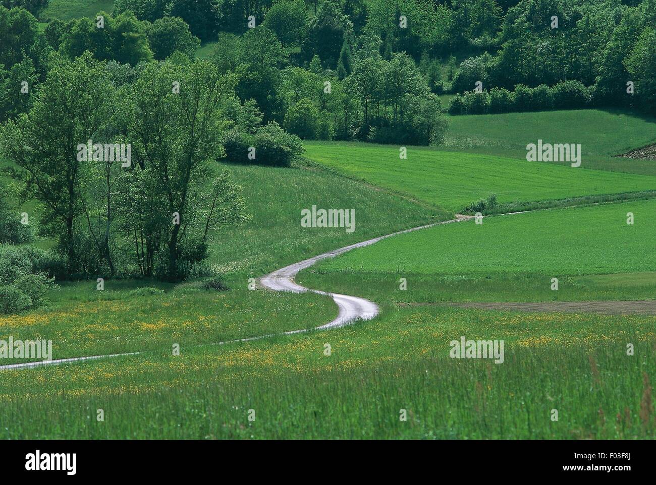 Italy - Piedmont Region - Alta Langa area. Nature Reserve of the ...