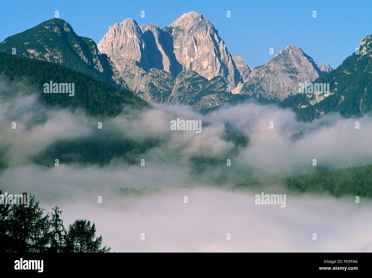 Jof fuart hi-res stock photography and images - Alamy