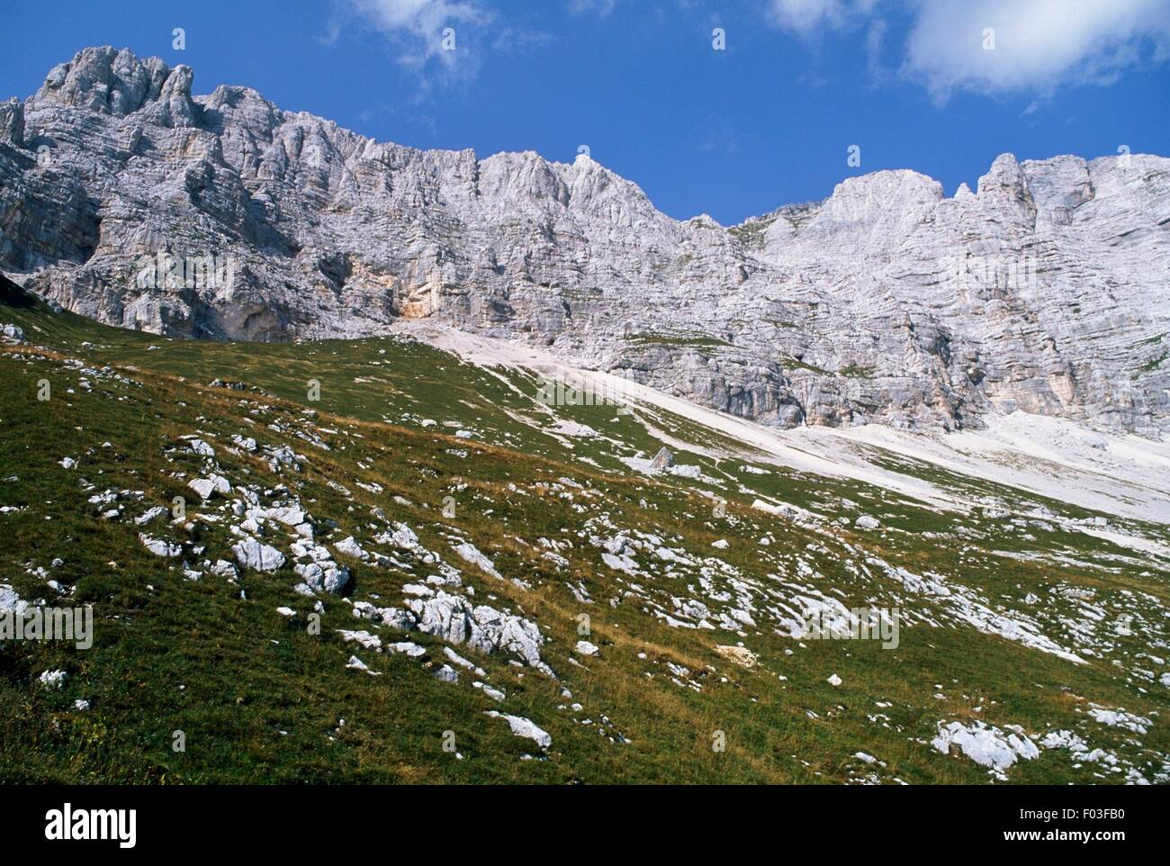 Jof di Montasio and Cima Verde (Green Peak), Val Canale, Forest of ...