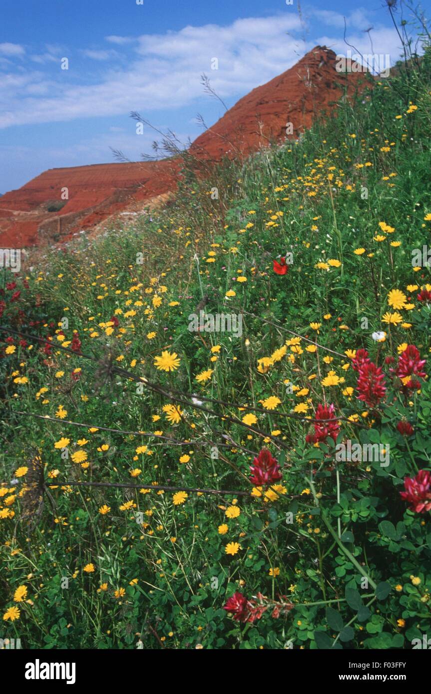 Italy - Sardinia Region - Carbonia-Iglesias province - Geological and ...