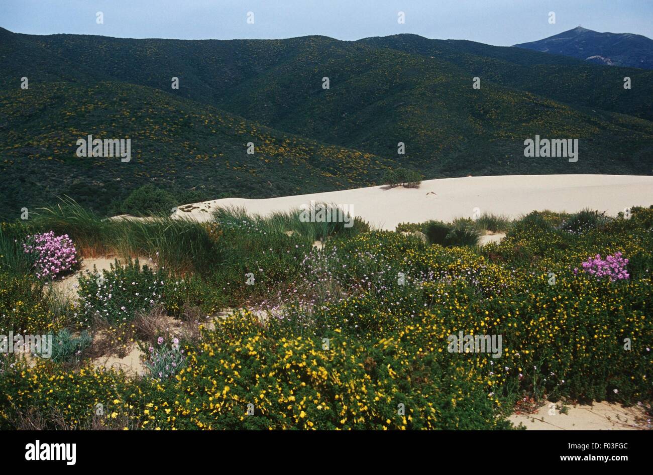 Italy - Sardinia Region - Costa Verde - Medio Campidano province ...