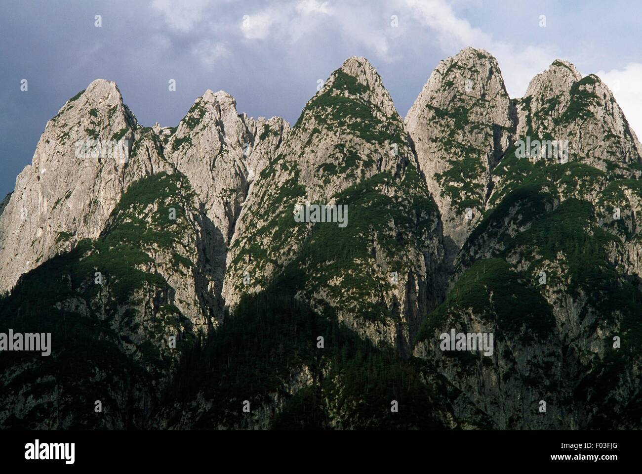 Cinque Punte (Five Peaks), Rio del Lago valley, Forest of Tarvisio ...