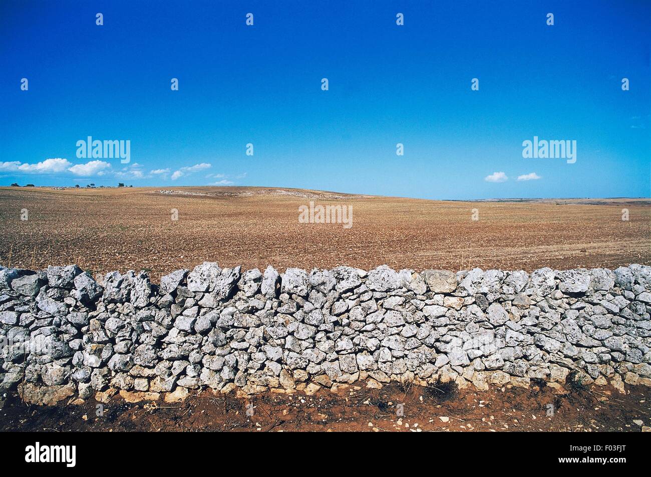 Agricultural landscape and stone walls around Altamura, The Murgia ...