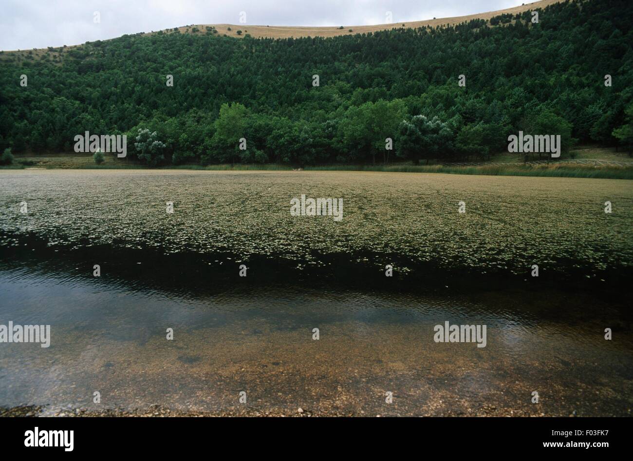 Italy - Apulia Region - Daunia Mountains - Pescara Lake Stock Photo - Alamy