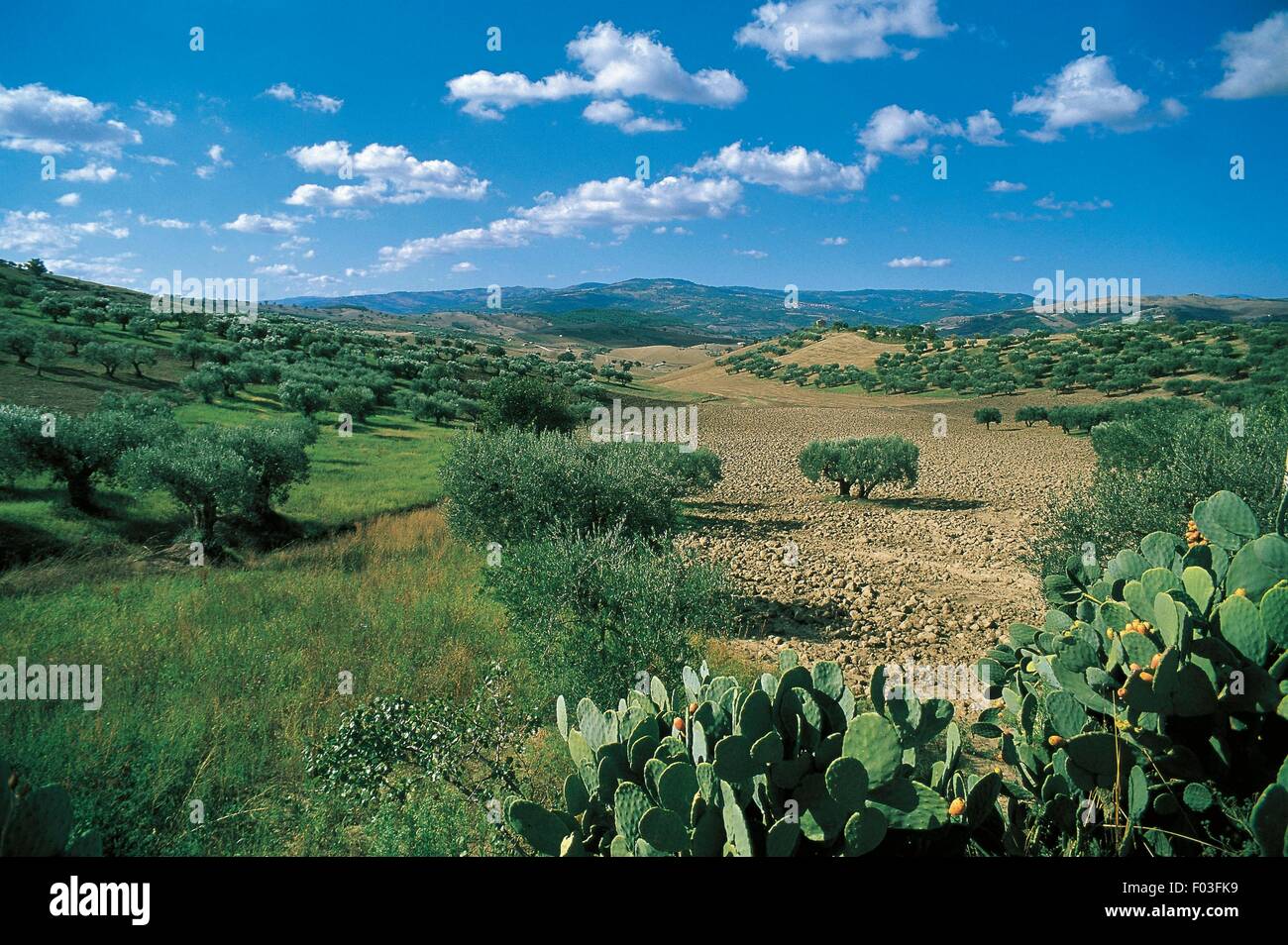 Italy - Apulia Region - Mountains of Daunia - Landscape between Celenza ...