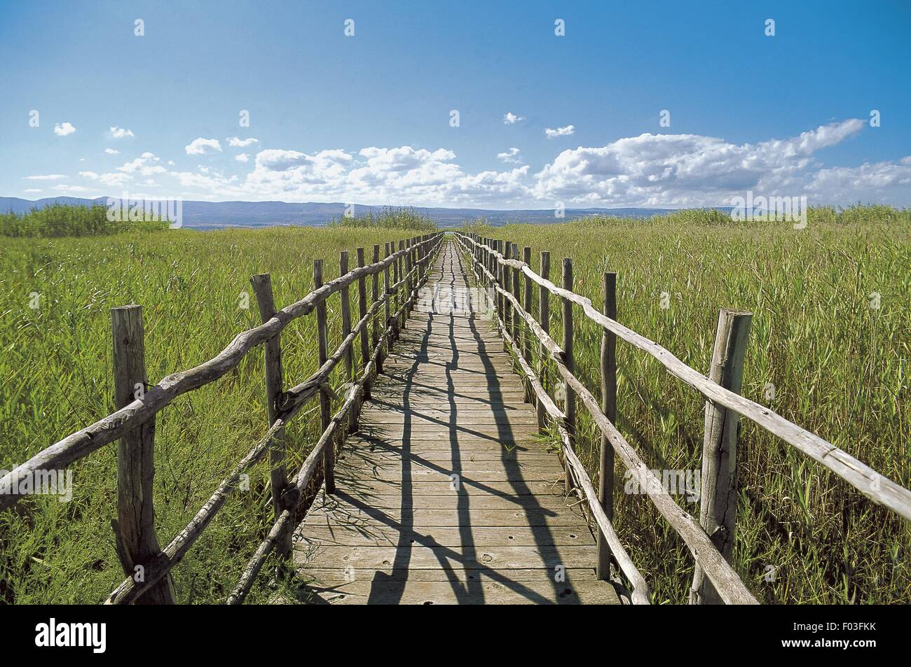 Italy - Apulia Region - Gargano National Park - Lake Lesina Natural ...