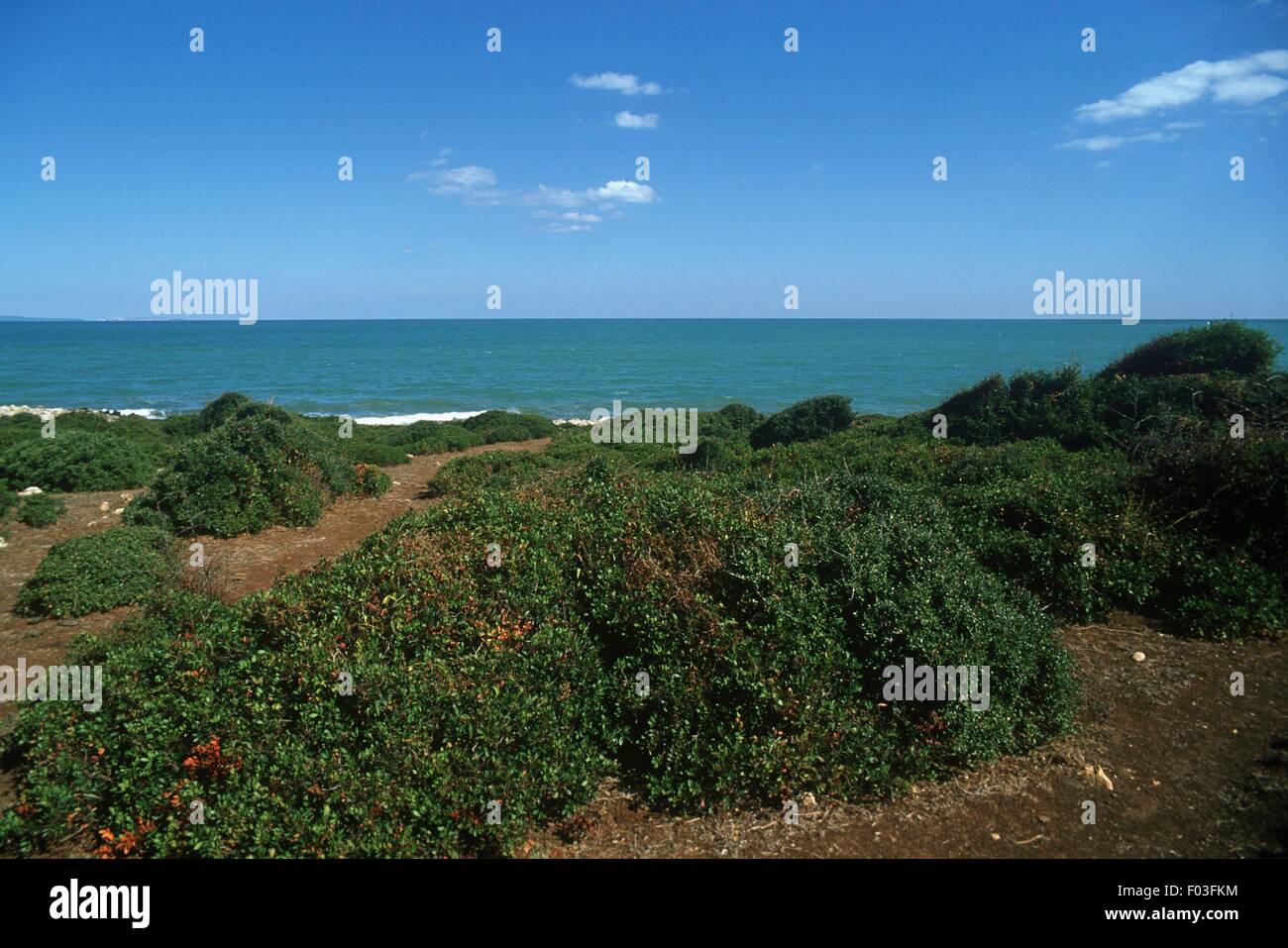 Mileto hi-res stock photography and images - Alamy
