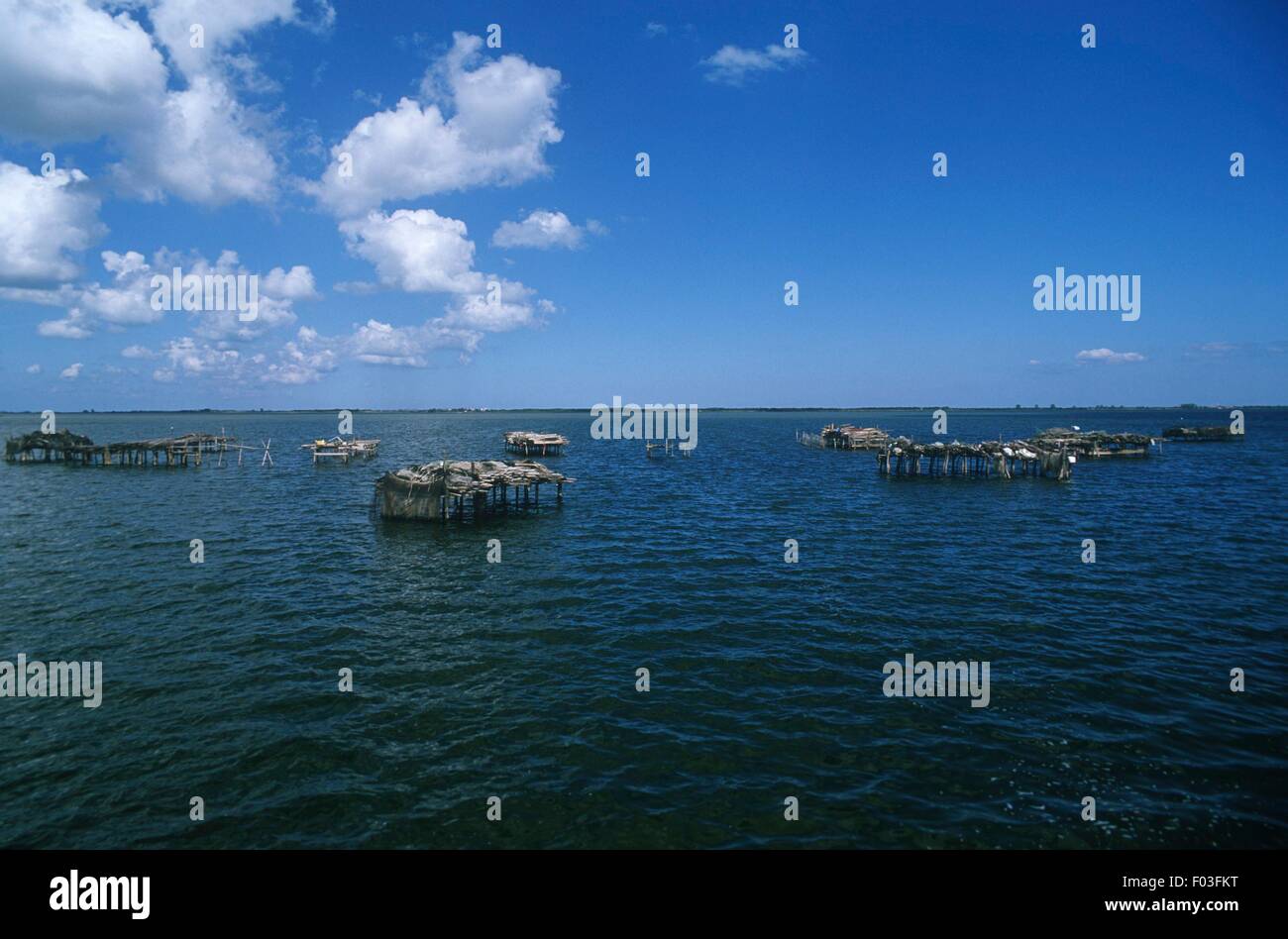 Italy - Apulia Region - Gargano National Park - Lake Lesina Natural ...