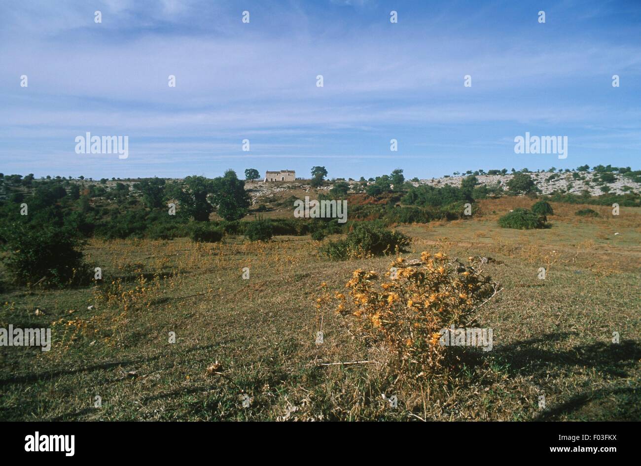 Italy - Apulia Region - Gargano National Park - Landscape in the ...