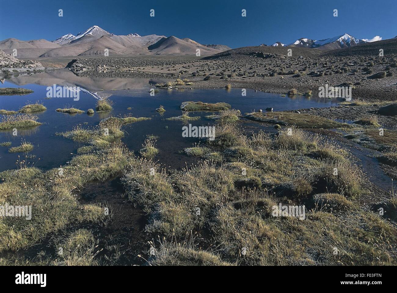 Chile - Norte Grande - Tarapaca. Andes Mountains. Lauca National Park ...