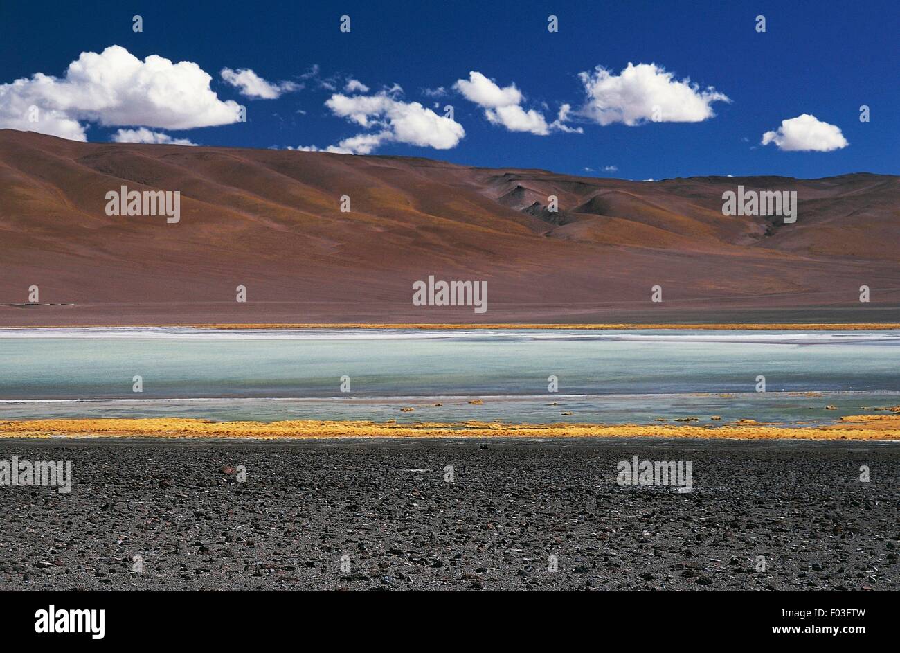Waters of the Salar de Tara (salt flats), Los Flamencos National ...