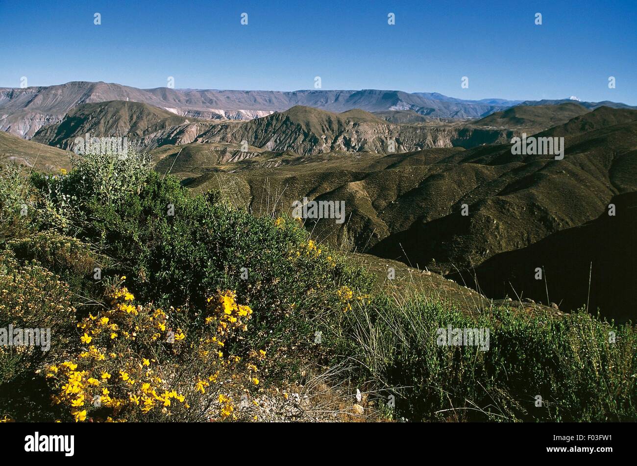 Socoroma chile hi-res stock photography and images - Alamy