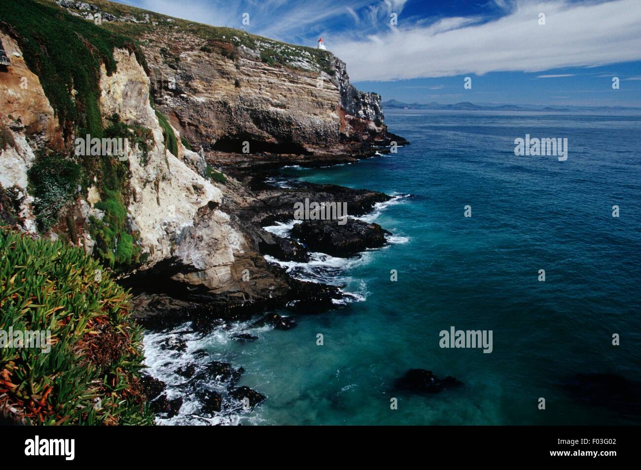 New Zealand - Southern Island - Otago Region - Otago Peninsula, Taiaroa ...