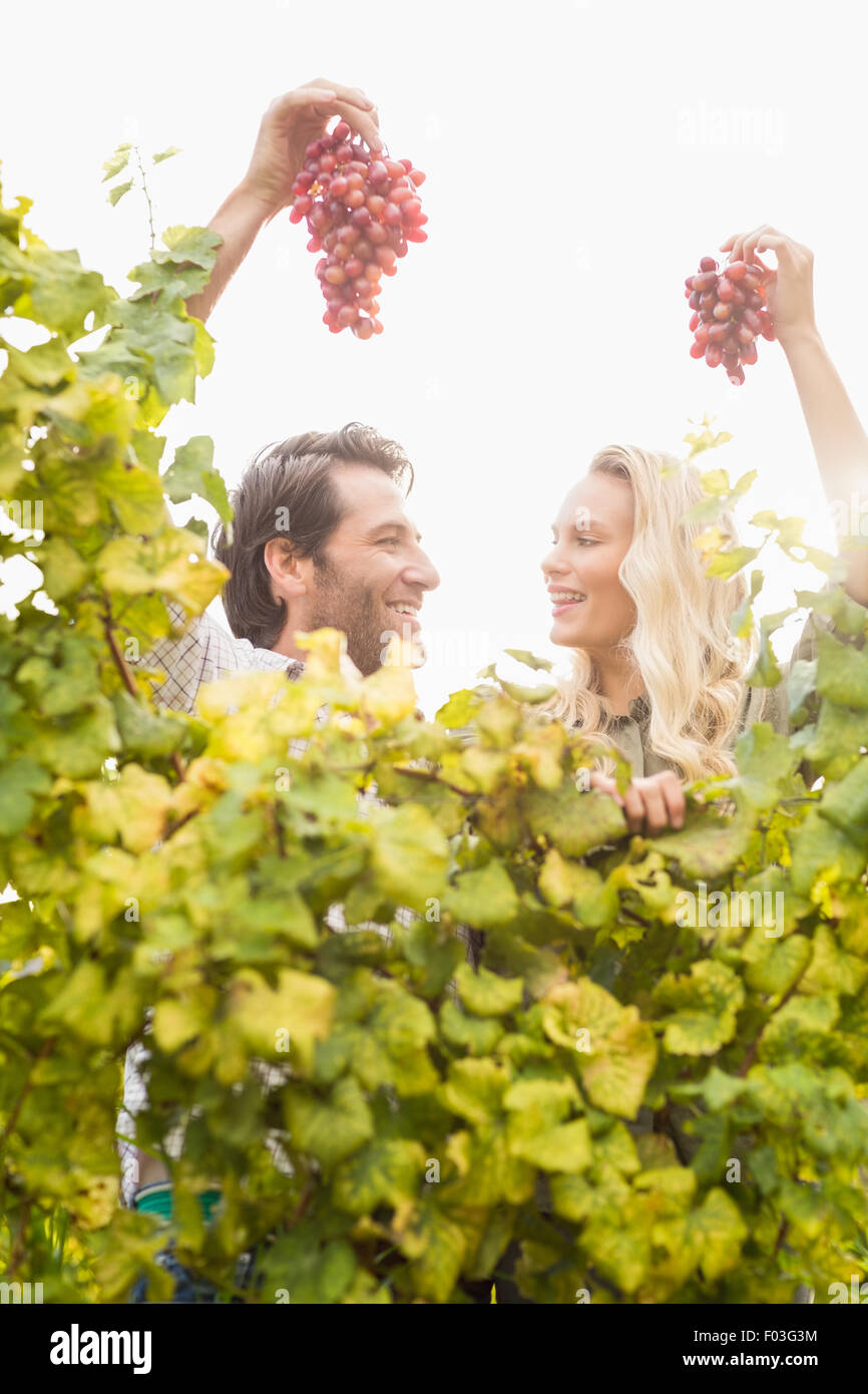 Smiling winegrowers couple holding red grapes Stock Photo - Alamy