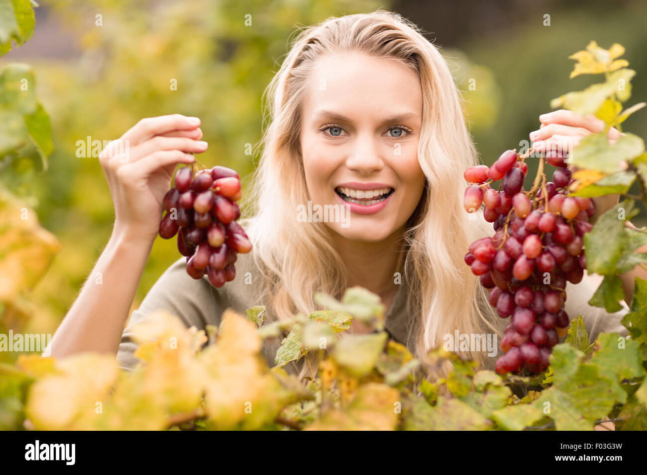 Smiling blonde winegrower holding red grapes Stock Photo - Alamy