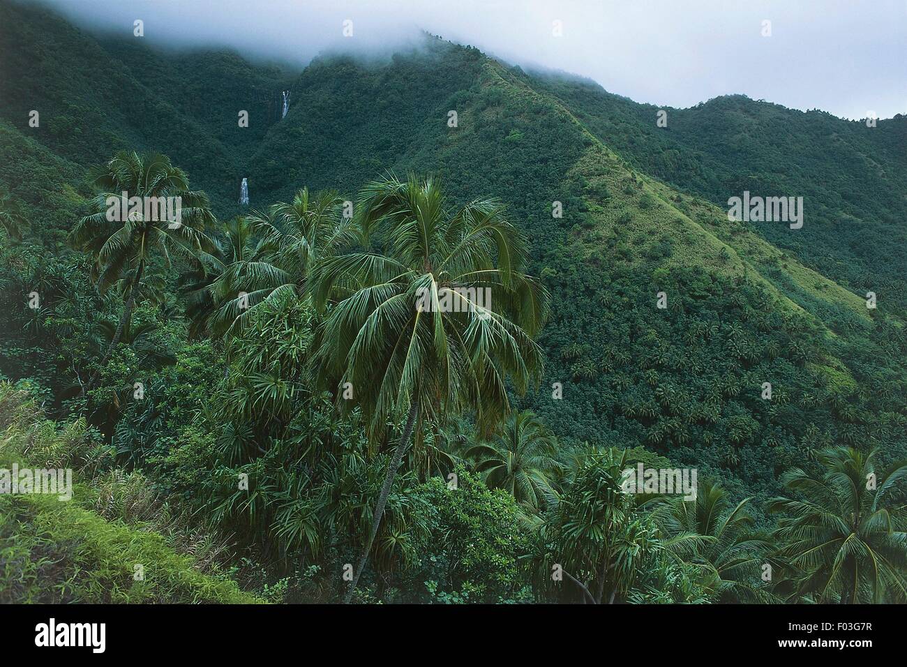 French Polynesia (French overseas territory) - Marquesas Islands ...