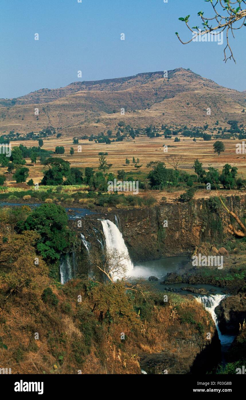 Blue Nile Falls (Tis Issat, smoking water) near Bahar Dar, Ethiopia ...