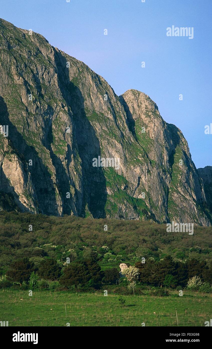 Rocca Busambra Mountain, Ficuzza Forest Oriented Nature Reserve, Rocca ...