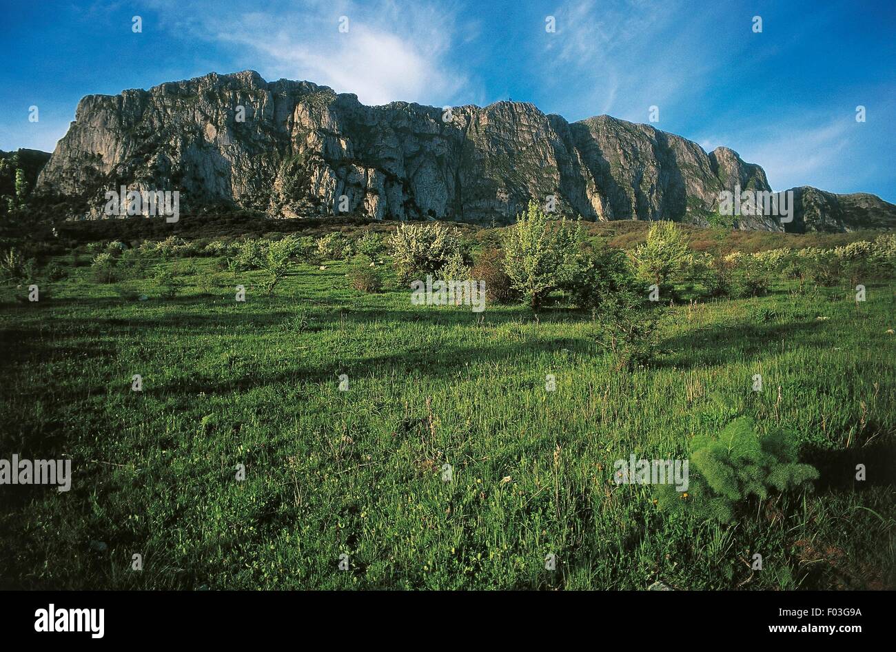 Rocca Busambra Mountain, Ficuzza Forest Oriented Nature Reserve, Rocca ...