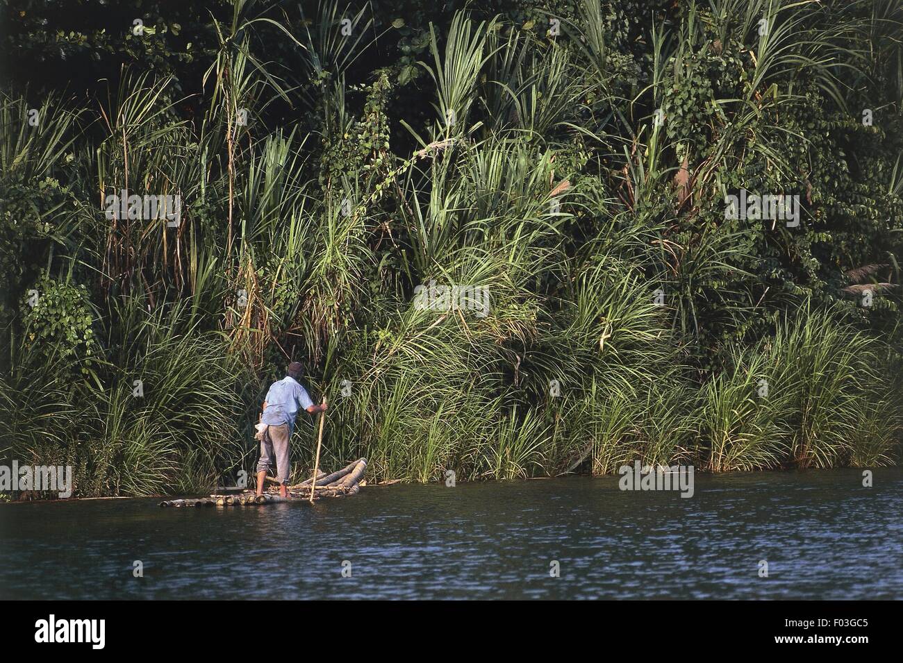 Cuba - Toa River, vegetation along banks Stock Photo - Alamy