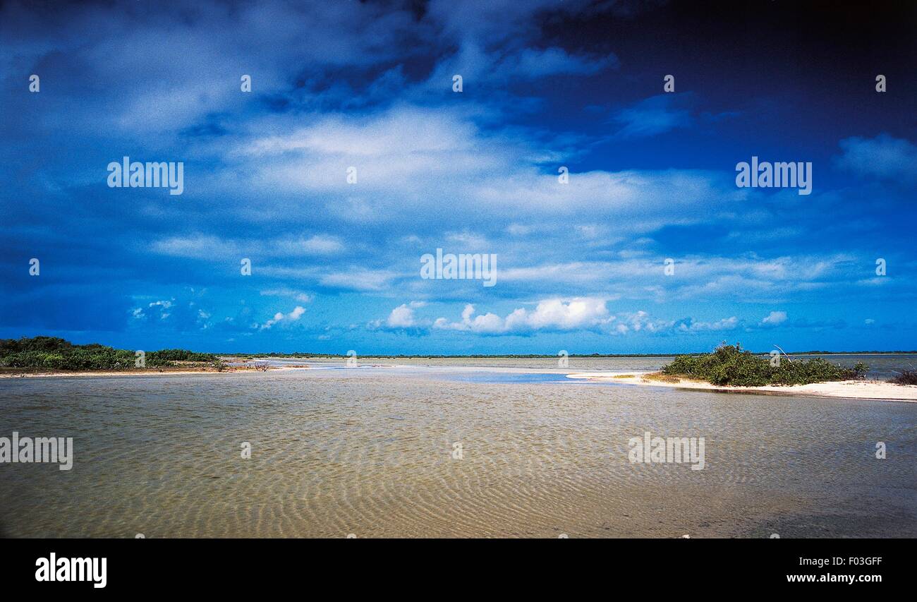 Flamingo Pond, brackish lagoon protected by the Ramsar Convention or ...