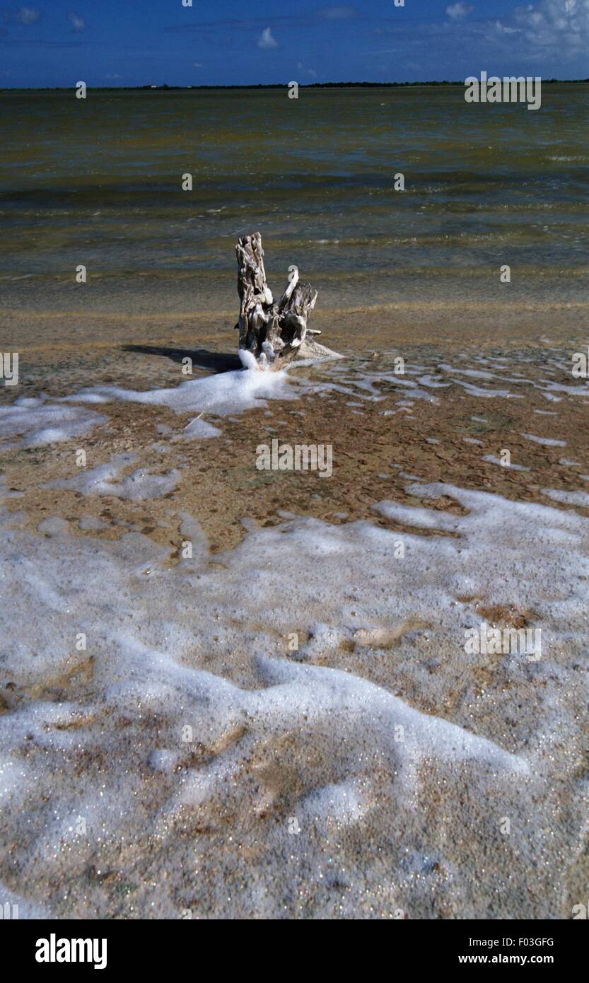 Leeward Islands, Virgin Islands, Anegada Island, Flamingo Pond (lagoon ...
