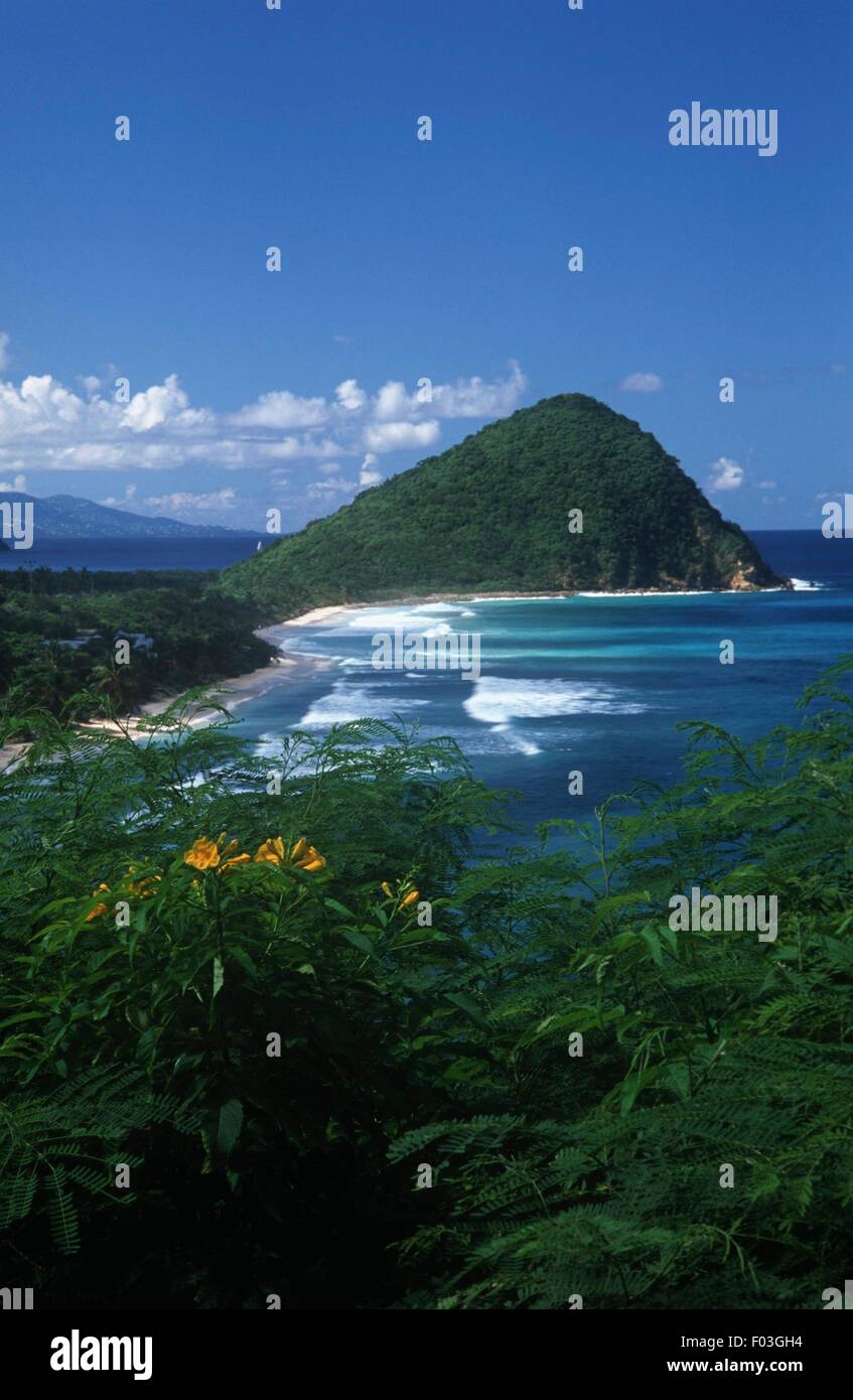 British Virgin Islands, Tortola, West End, Long Bay Stock Photo - Alamy