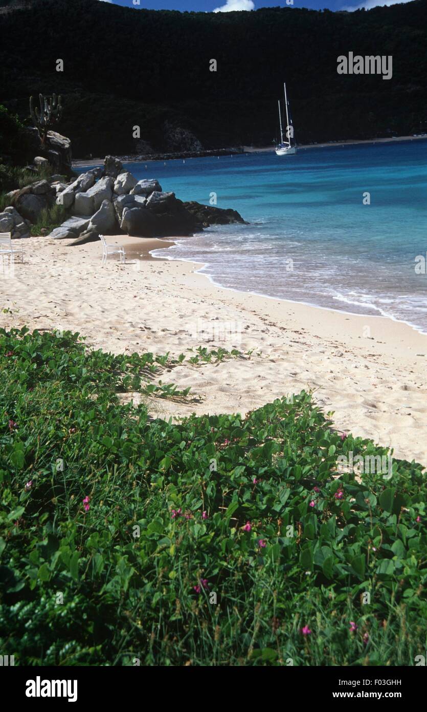 British Virgin Islands, Peter Island, beach Stock Photo - Alamy