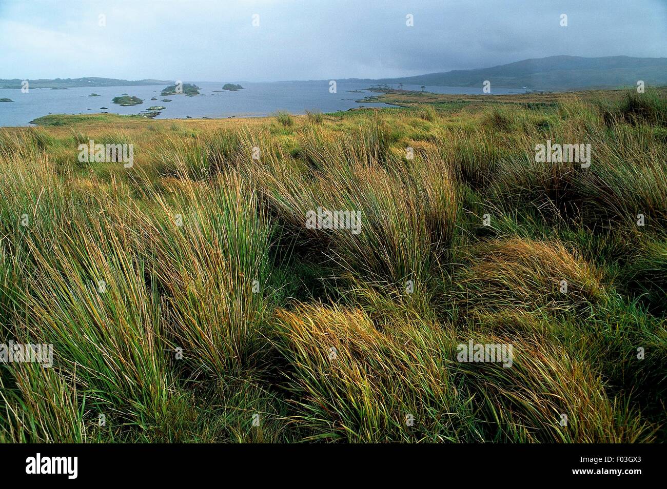 Ireland - Connacht Province - County Galway - Connemara Region ...