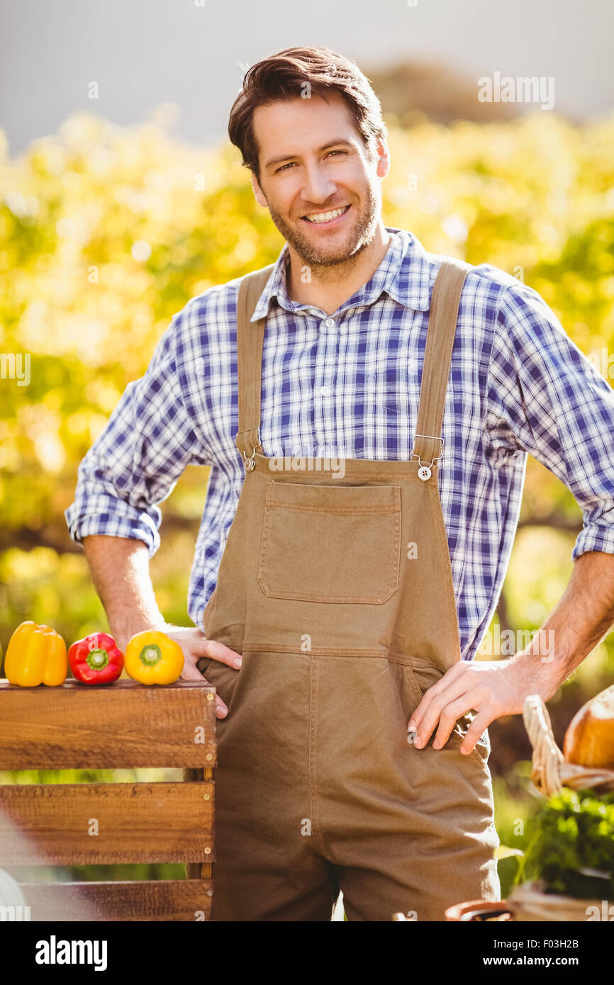 Farmer hands vegetables hi-res stock photography and images - Alamy