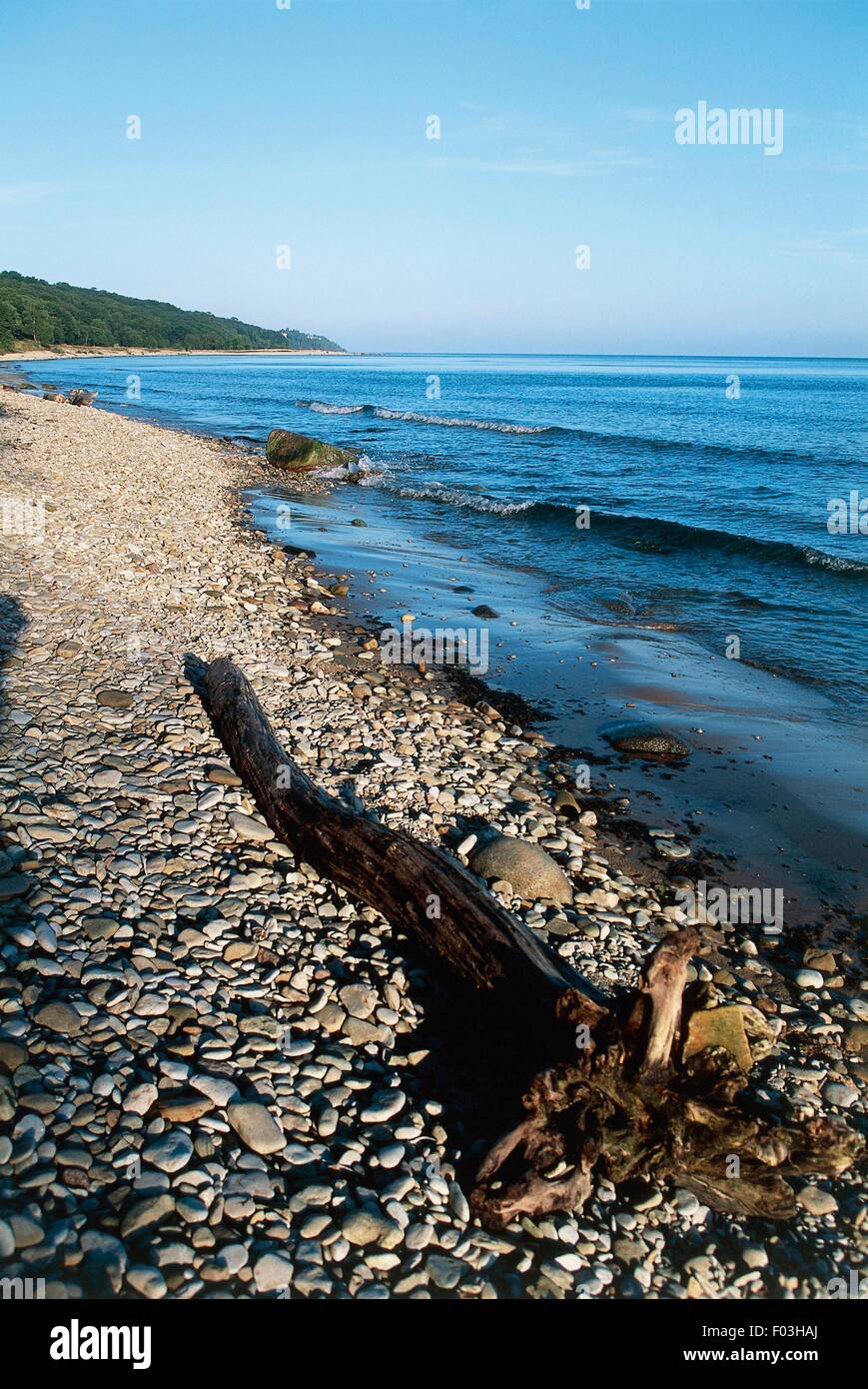 Estonia - Baltic coast - Toila, beach Stock Photo - Alamy