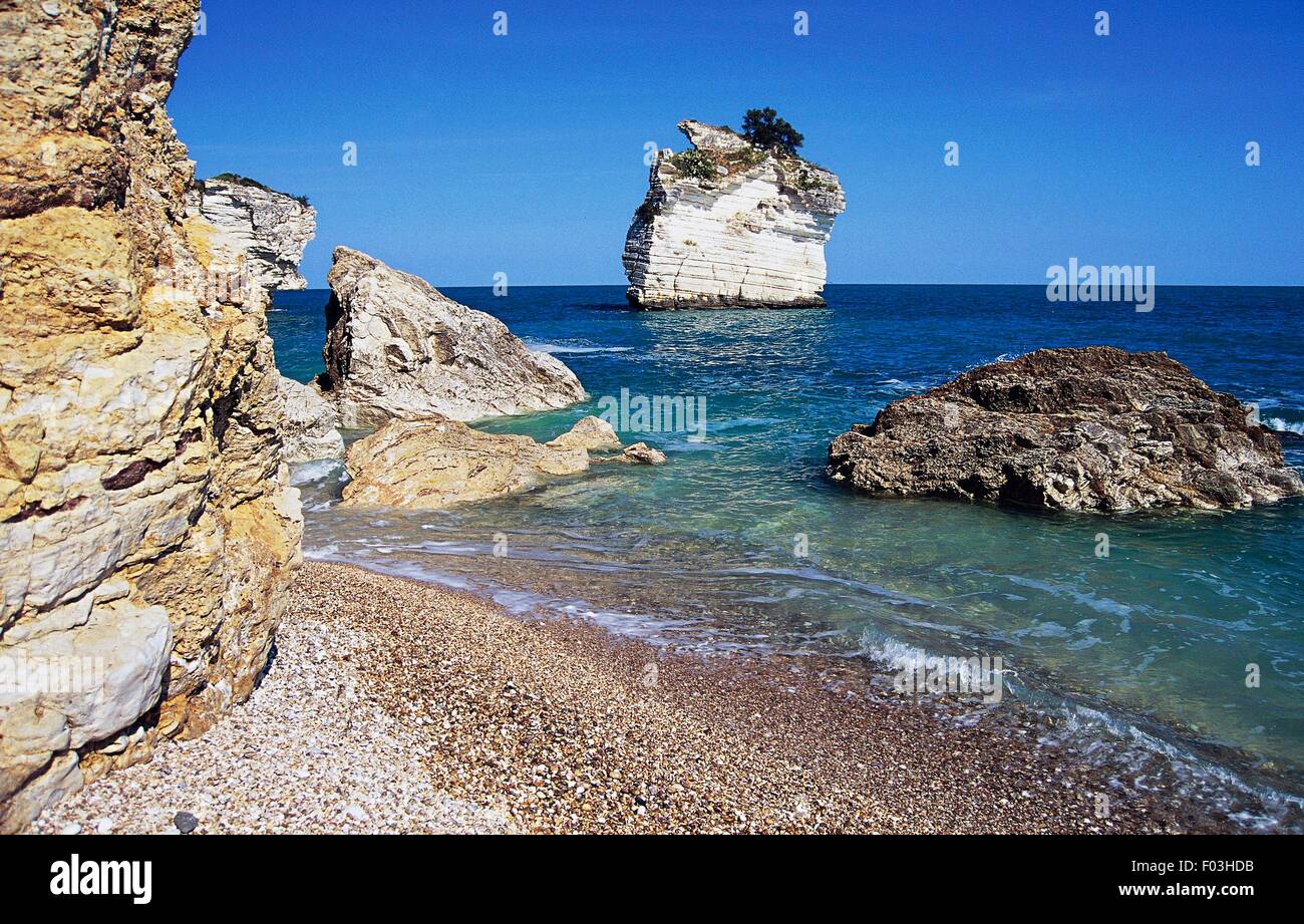 The beach and sea-stacks in Zagare Bay, near Mattinata, Gargano ...