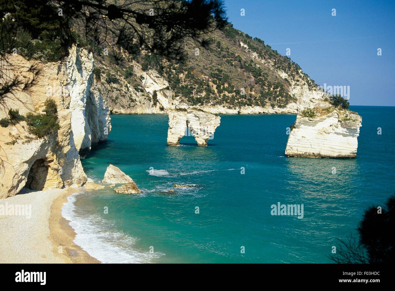 The beach and sea-stacks in Zagare Bay, near Mattinata, Gargano ...