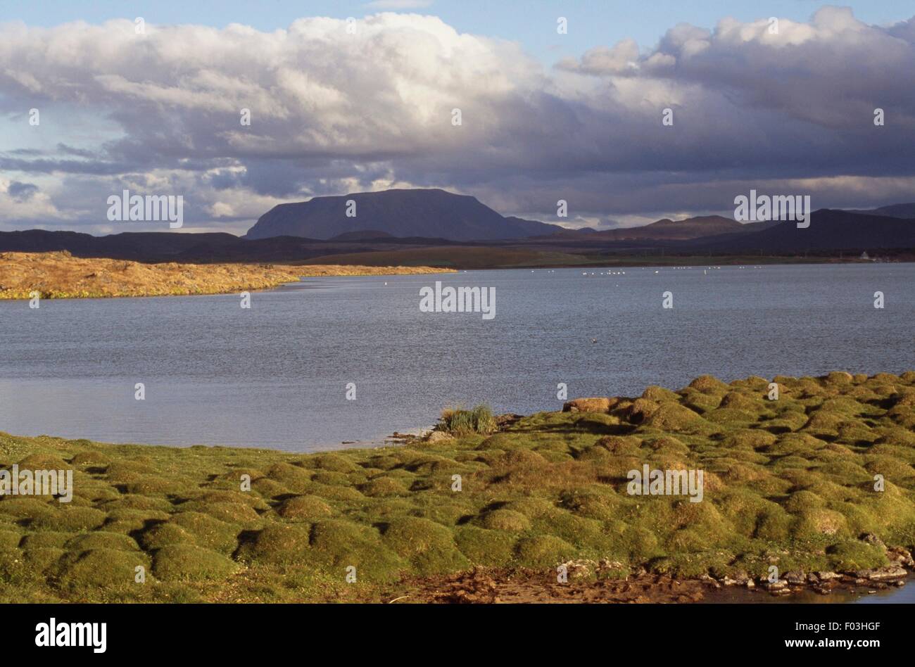 Lake Myvatn (Lake of Midges) at sunset, Sudur-Thingeyjarsysla, Iceland ...