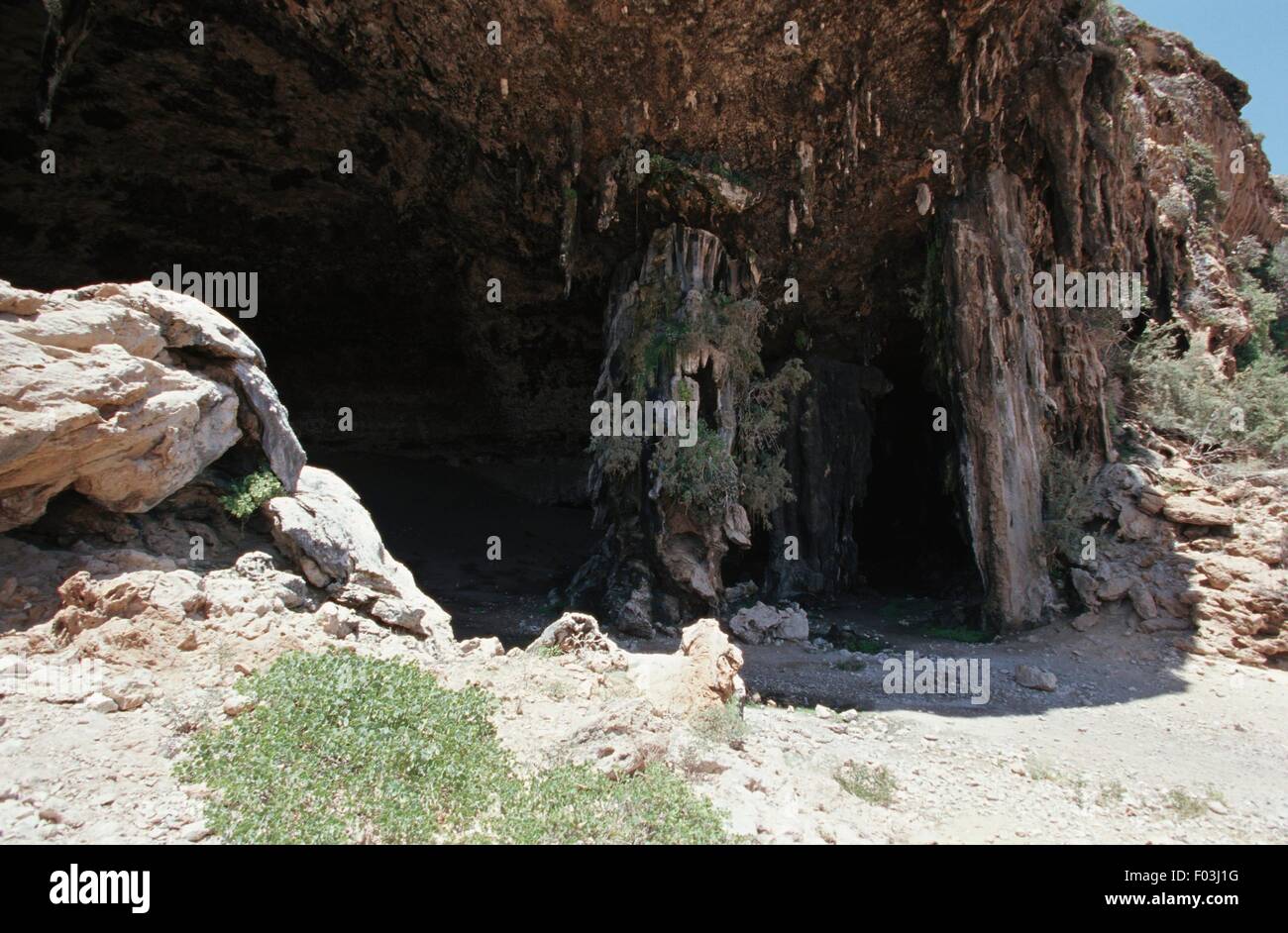 Yemen, Socotra Island, Deiqyub cave southern slope Stock Photo - Alamy