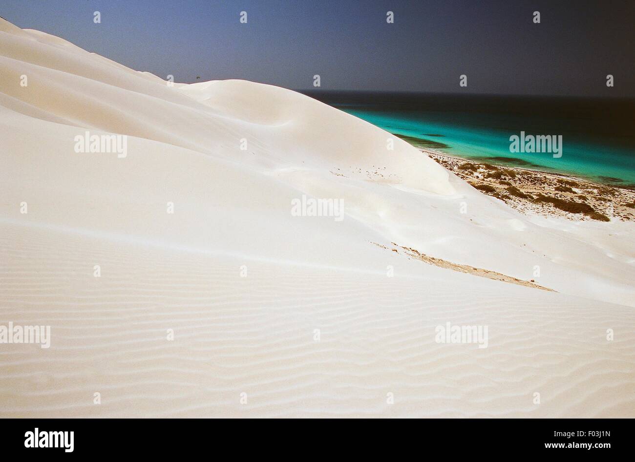 Sand dune along the Arabian Sea coastline, Arher beach, Socotra Island (UNESCO World Heritage ...